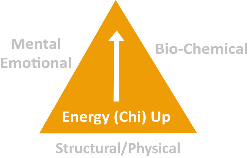 How Kinesiology can help you. - EMPOWERING HEALTH