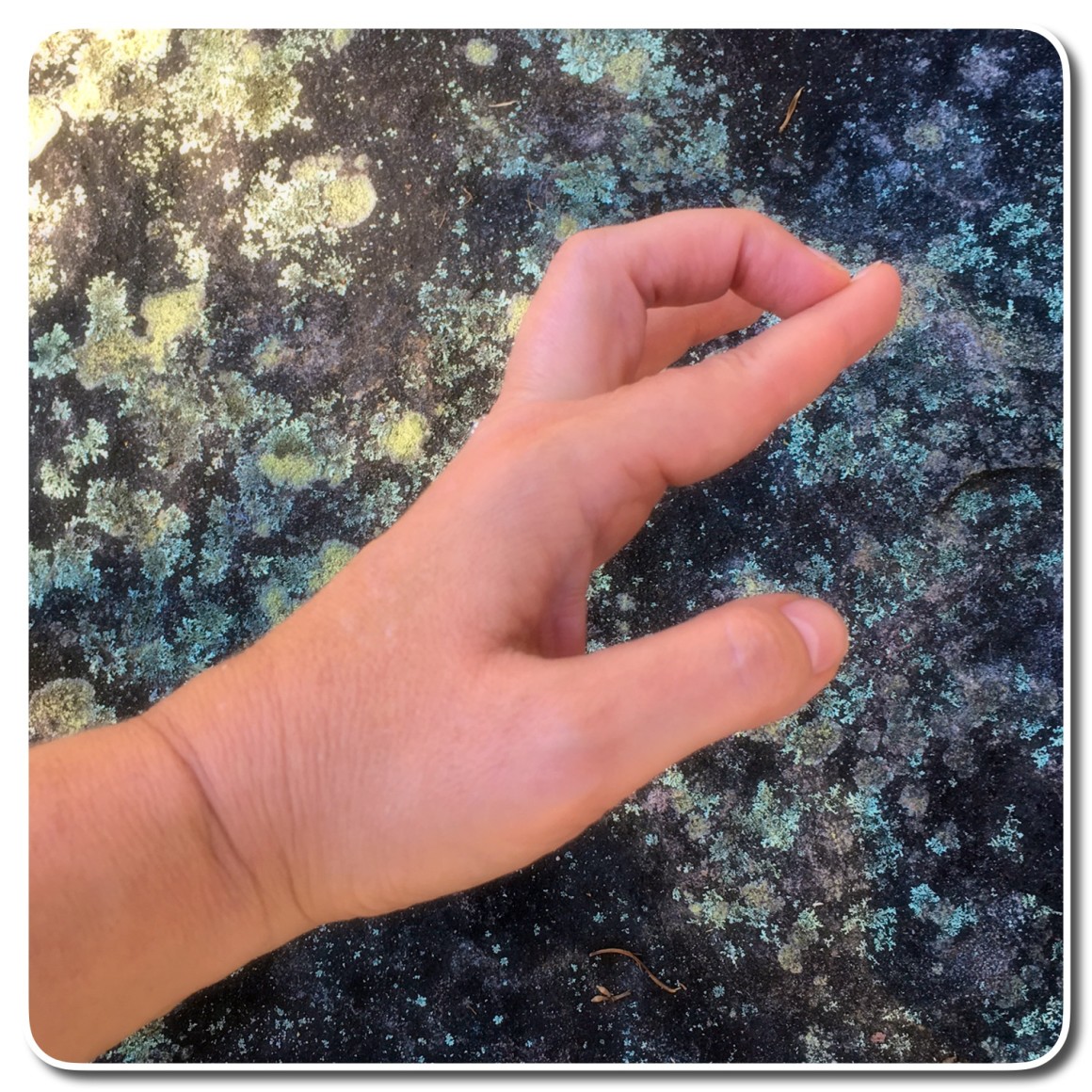 Self Muscle Testing, and Kinesiology - EMPOWERING HEALTH